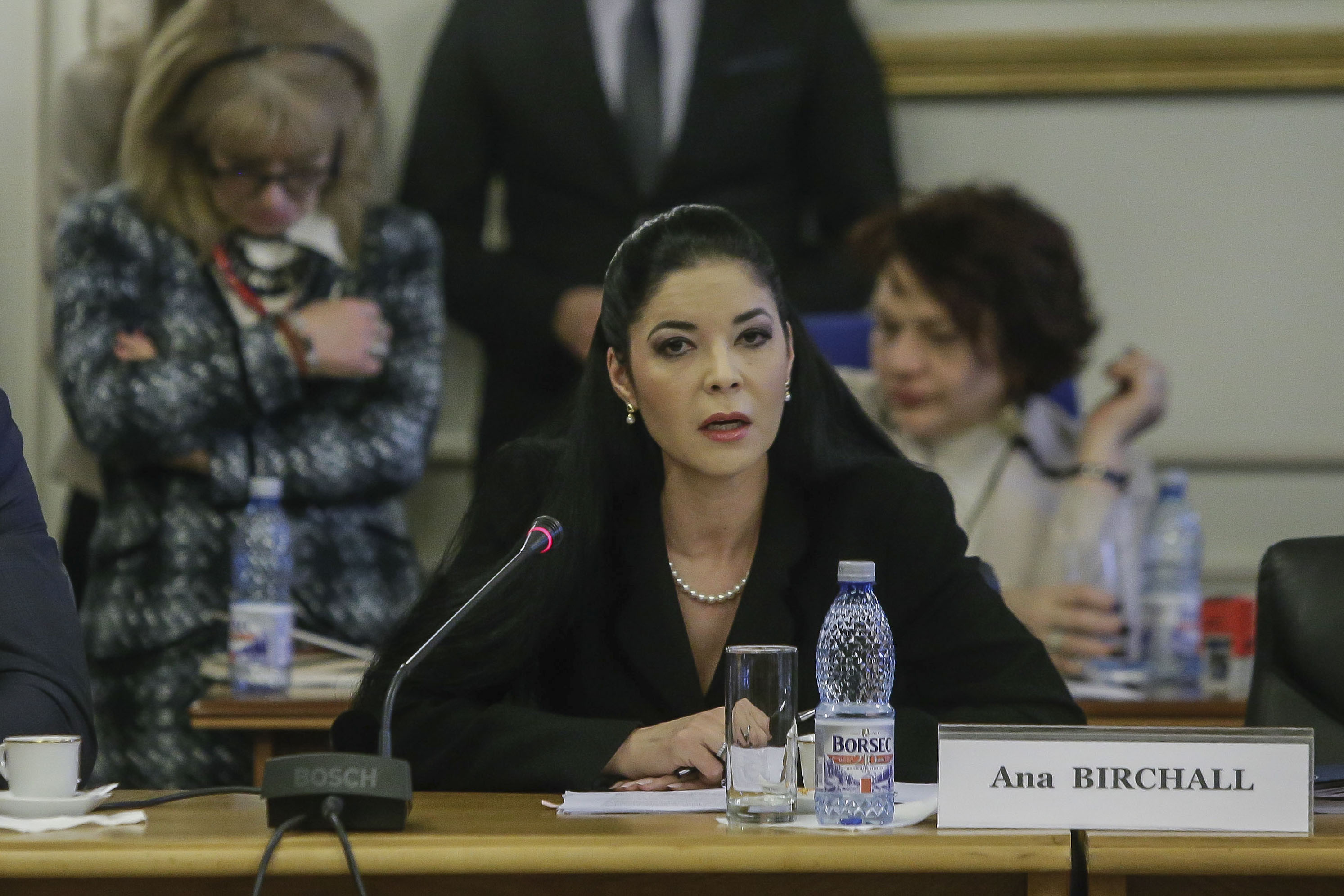 Ana Birchall, ministrul delegat pentru Afaceri Europene, la audieri ...
