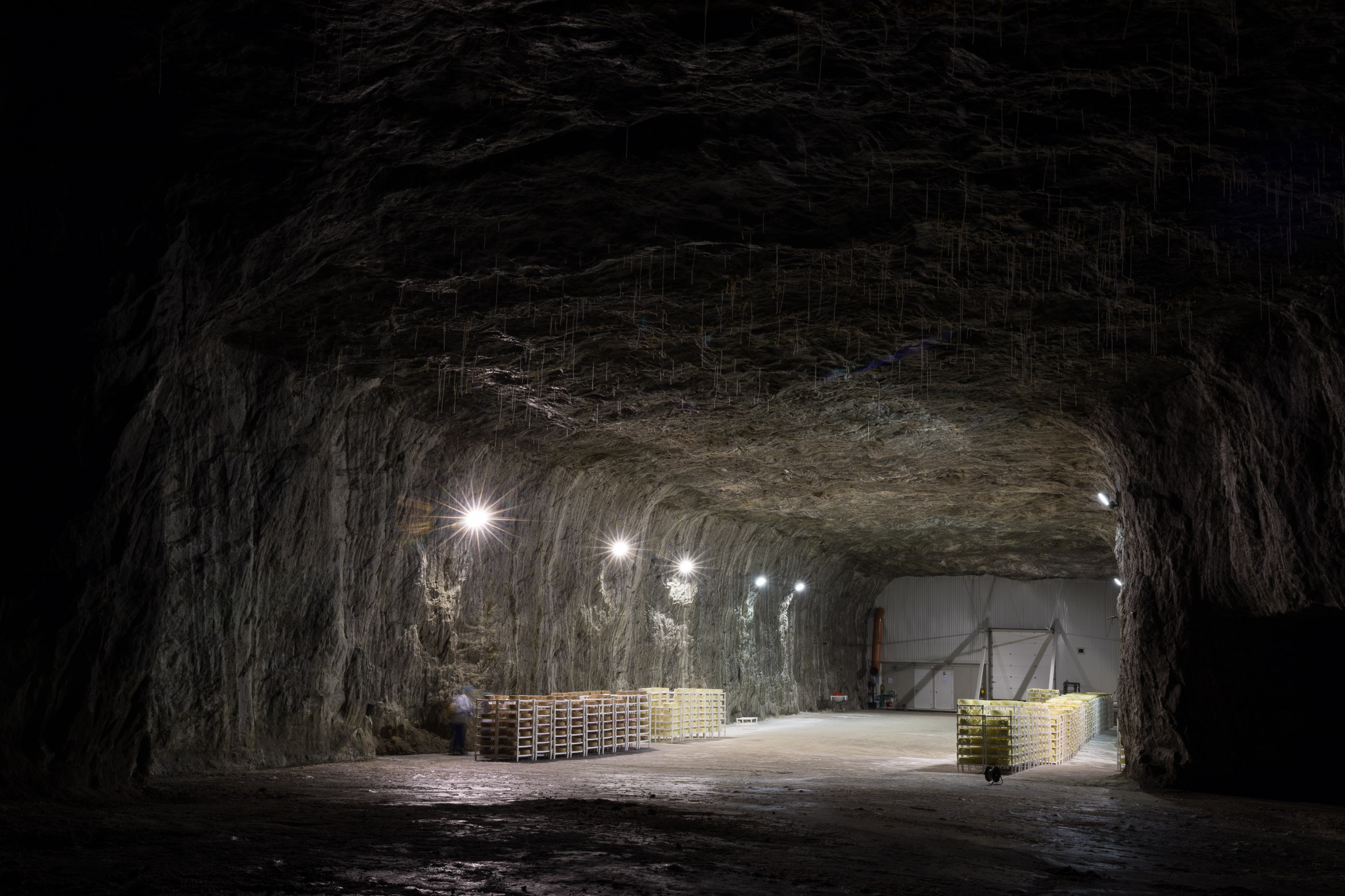 Descoperă gustul special românesc – Cum se fabrică brânza maturată în ...