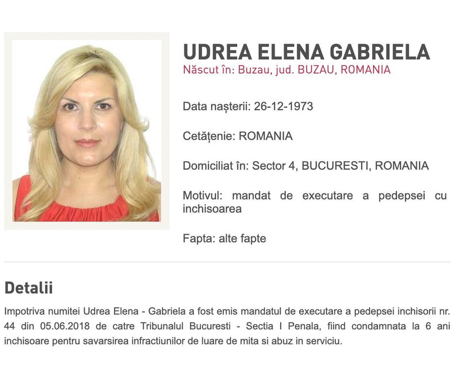 Elena Udrea, condamnată definitiv la șase ani de închisoare cu executare în dosarul Gala Bute ...