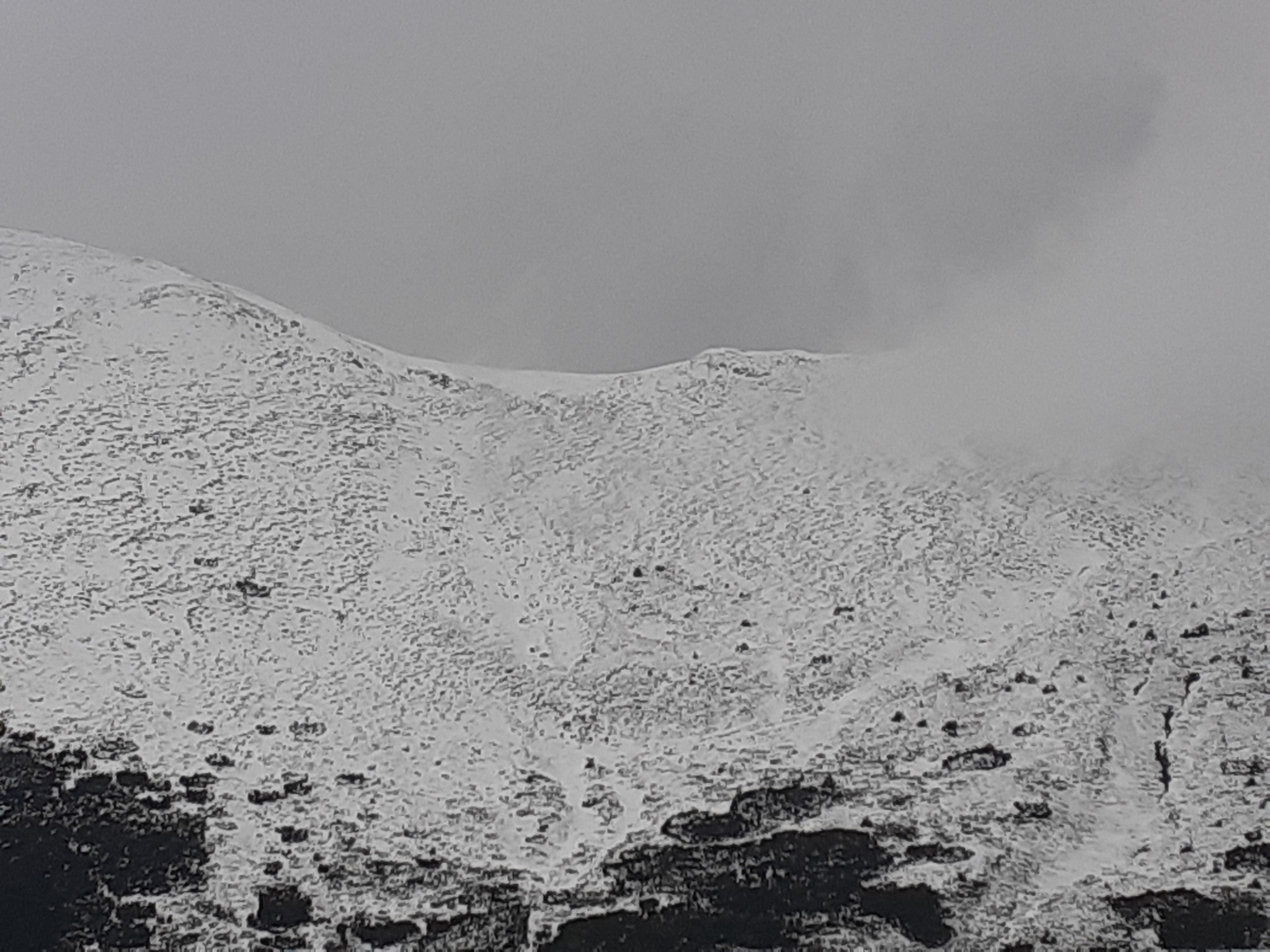 Experiența olandezului din Cârlibaba care s-a dus la muncă în Olanda ...
