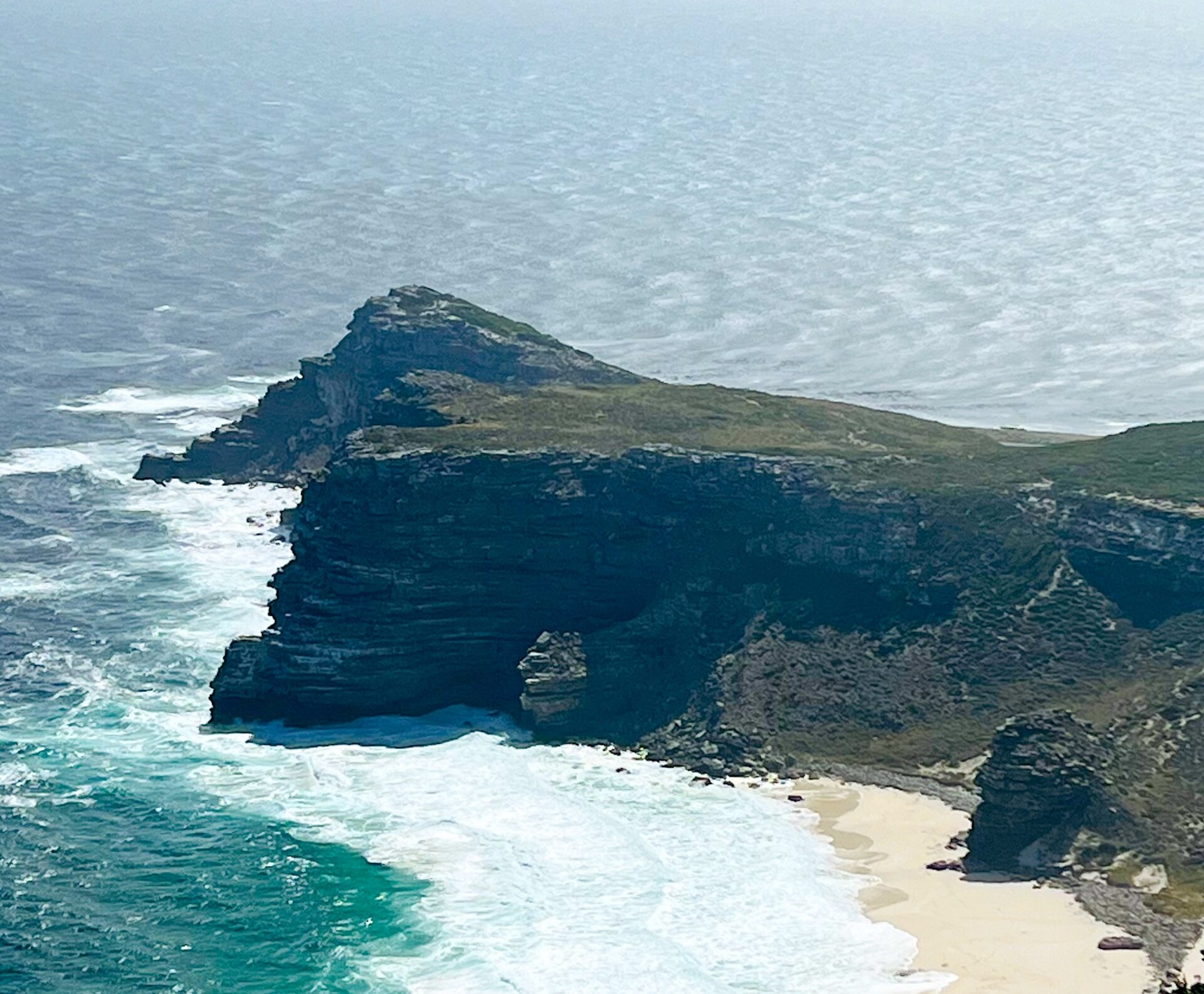 Atenție! Verificați sub mașină! S-ar putea să aveți un pinguin. O ...